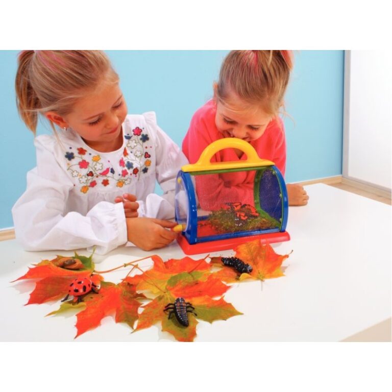 Boite d'observation pour insectes | MilBulles