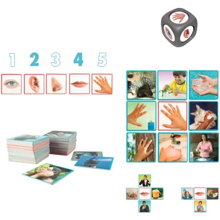 Le Jeu des 5 sens | MilBulles