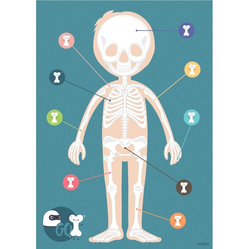 Planche Le squelette pour ACHOKA | MilBulles